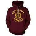 Hufflepuff Harry Potter Hogwarts Quidditch Hoodie - Walmart.com