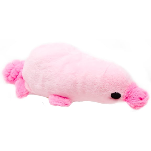 Perry Plush