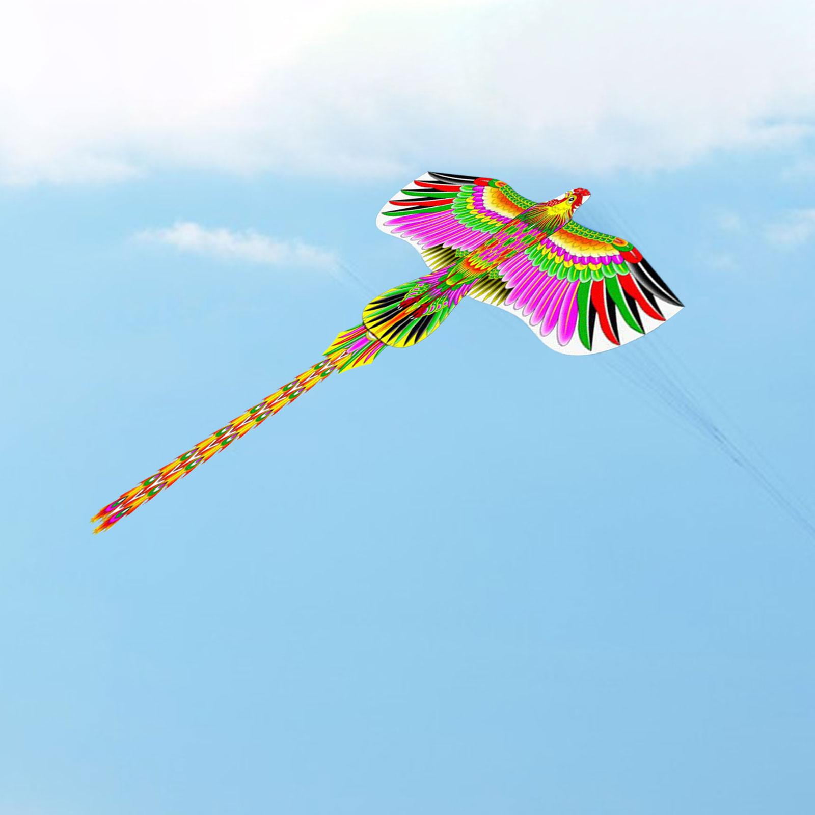 Huge Kite Kites Beautiful Bird Shape with Long Tail Large Giant Kites ...
