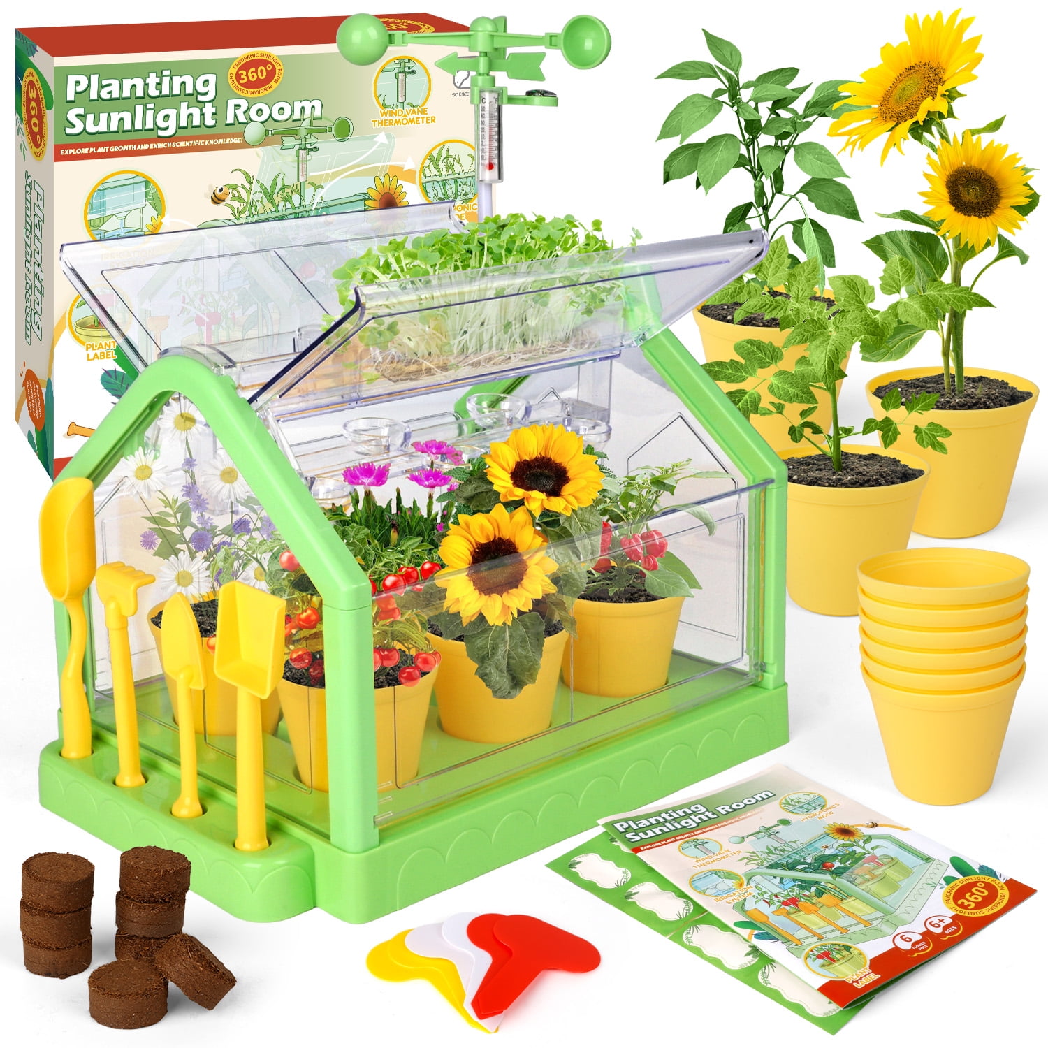 Huge Wave Kids Gardening Plant Growing Set, Greenhouse Flower Terrarium ...