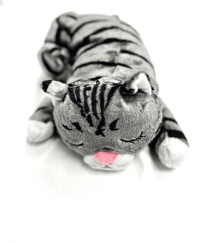 Huggie Pets Com