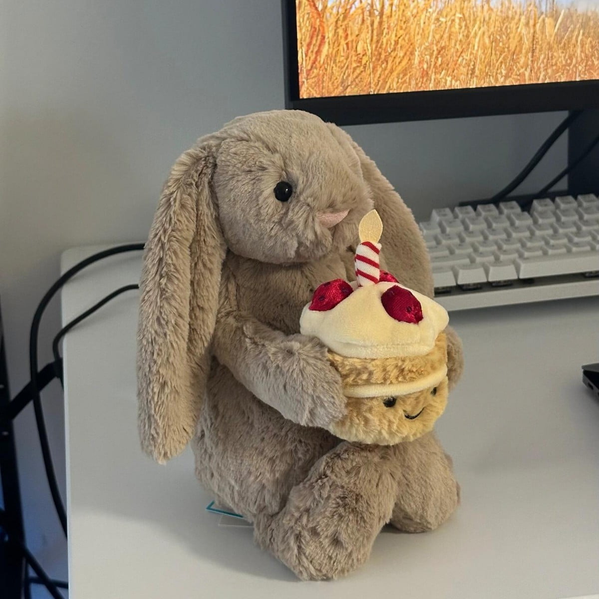 Hugging Birthday Cake Bonnie Rabbit Shy Bonnie Rabbit Soothing Doll ...