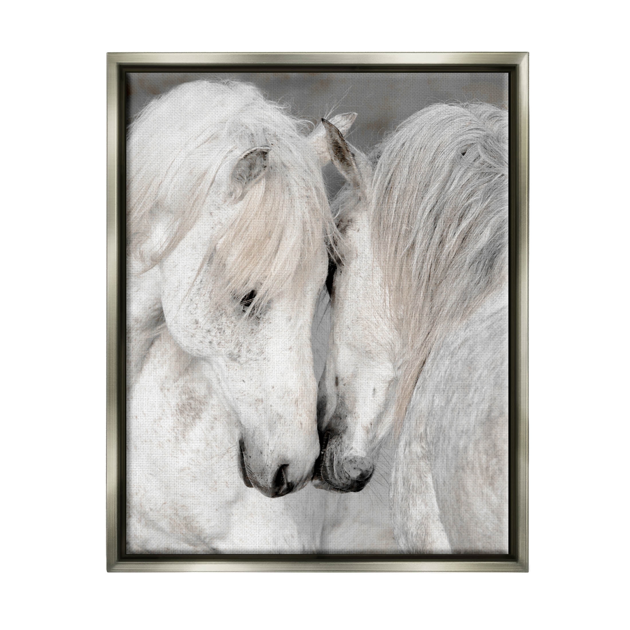 Hugging Horse Duo Wildlife Animals & Insects Photograph Luster Gray ...