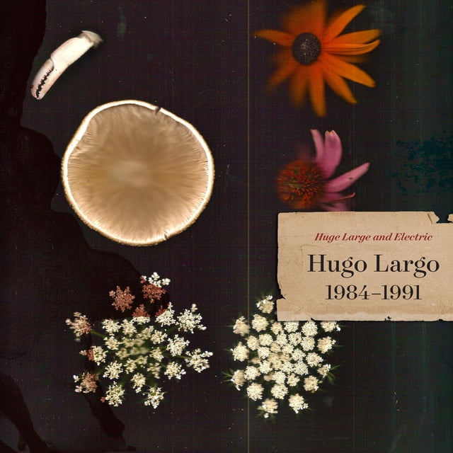 Hugo Largo - Huge Large And Electric: Hugo Largo 1984-1991 - Music ...