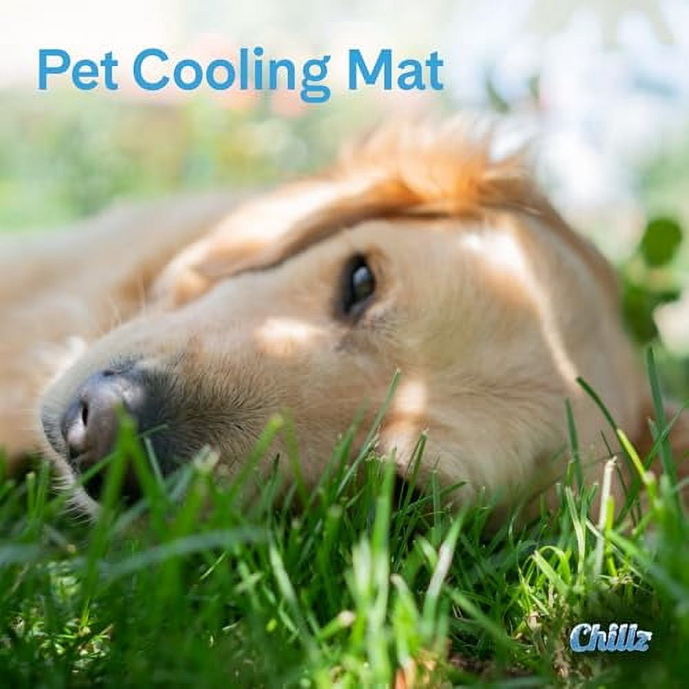 Hugs Pet Products Chillz Gel Mat, Large - Pressure-Activated Cooling ...