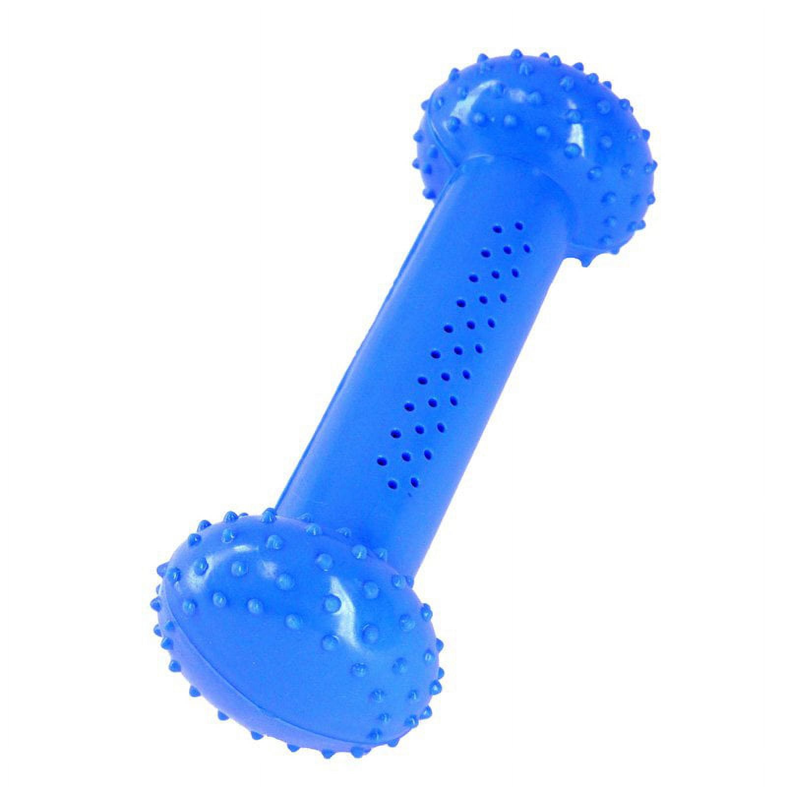 Hugs Pet Products Hydro Fetch Dog Toy - Walmart.com