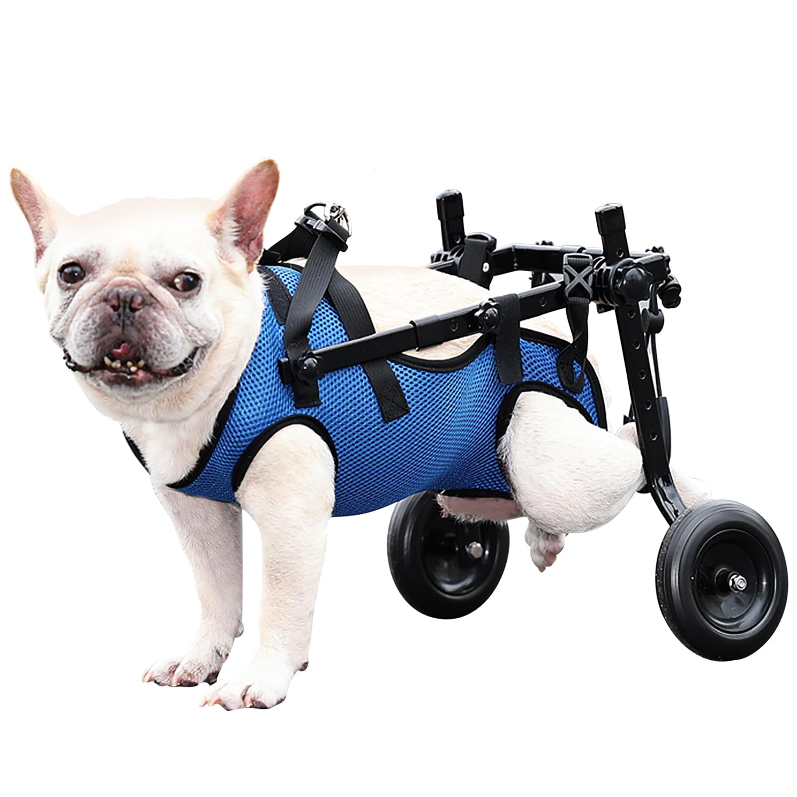 Huimpet Dog Wheelchair for Back Legs, Dog Wheelchair for Small Dog ...