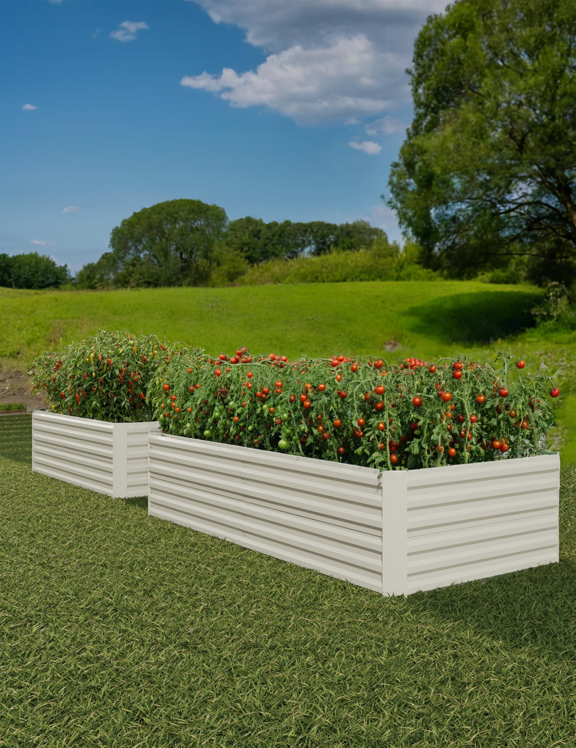 Huisuilinss Galvanized Raised Garden Bed,Rectangle Metal Planter Box ...