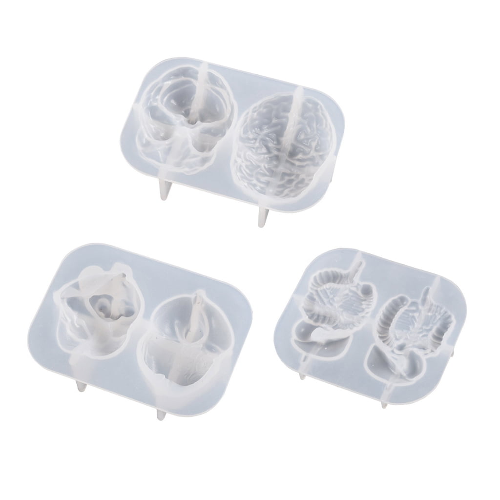 Hukai Human Organs Shape Silicone Molds Heart Brain Resin Epoxy Mold ...