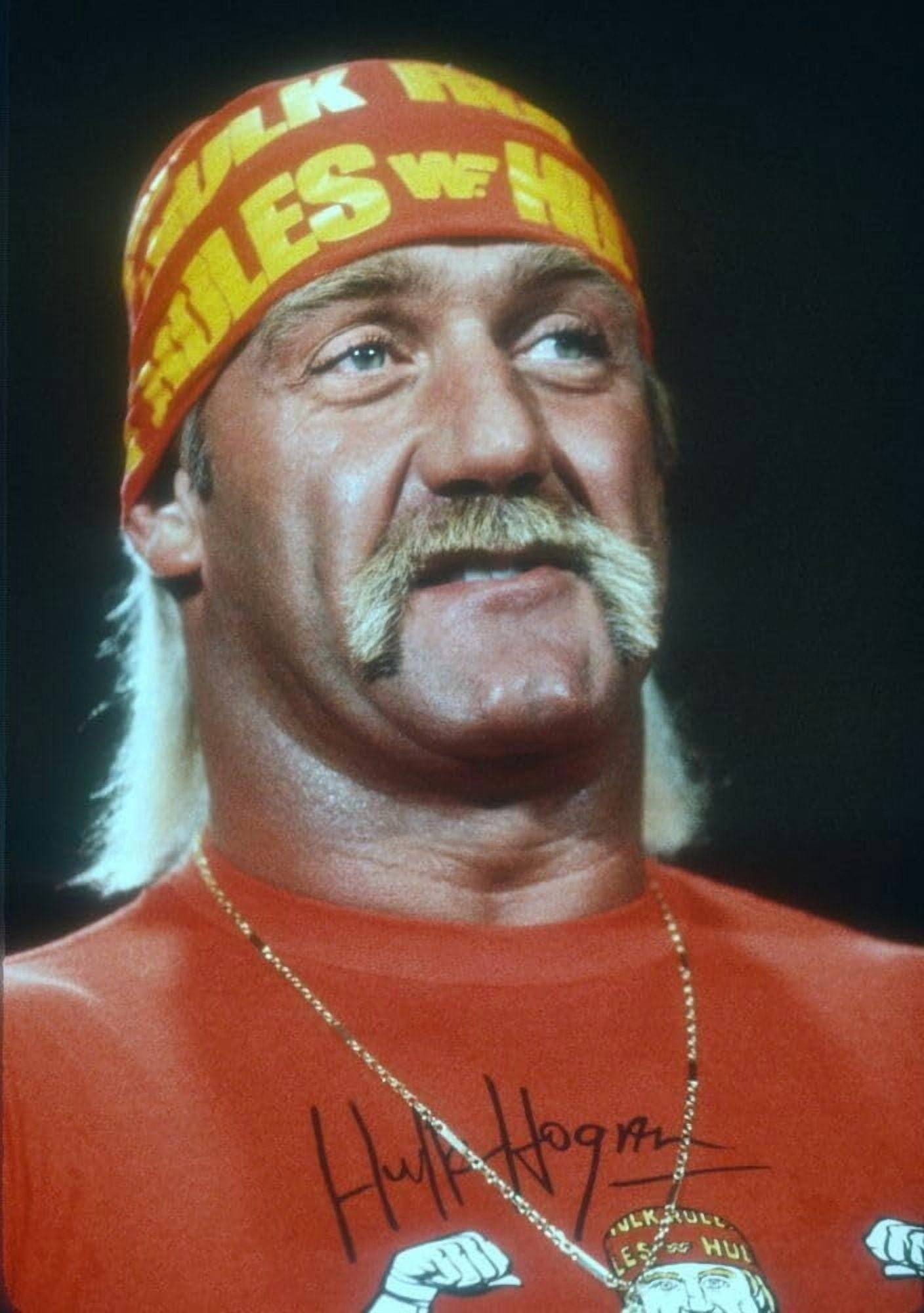 Hulk Hogan 1989 Photo By John Barrett (Hulk Hogan35570) Poster Print ...