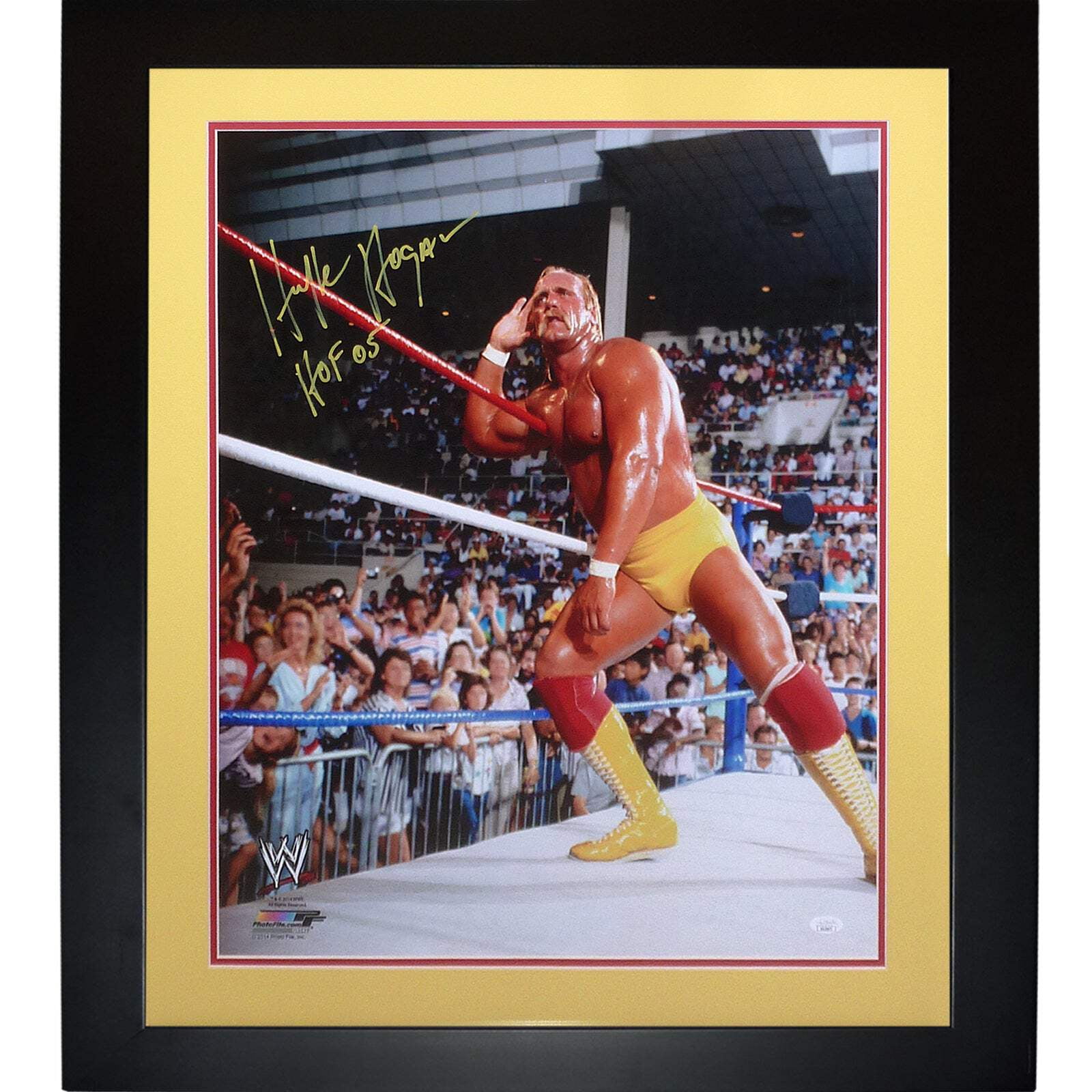 Hulk Hogan Autographed WWE Wrestling Deluxe Framed 20x24 Classic Photo ...