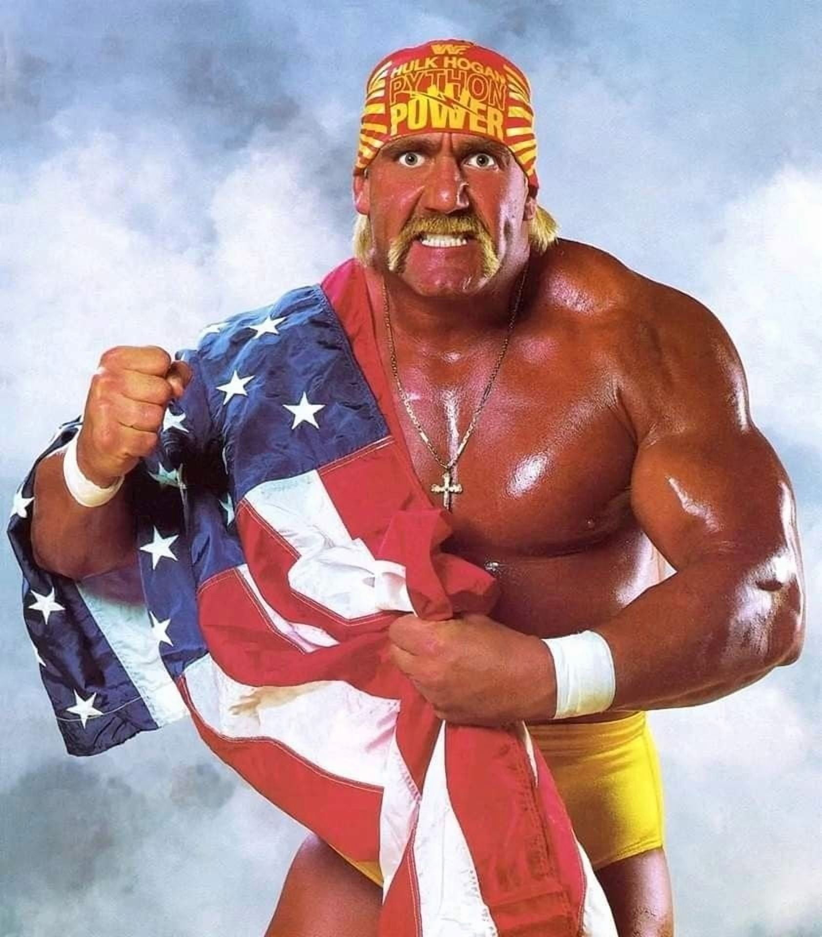 Hulk Hogan Poster Boxing Picture Canvas Poster Bedroom Decor Landscape ...