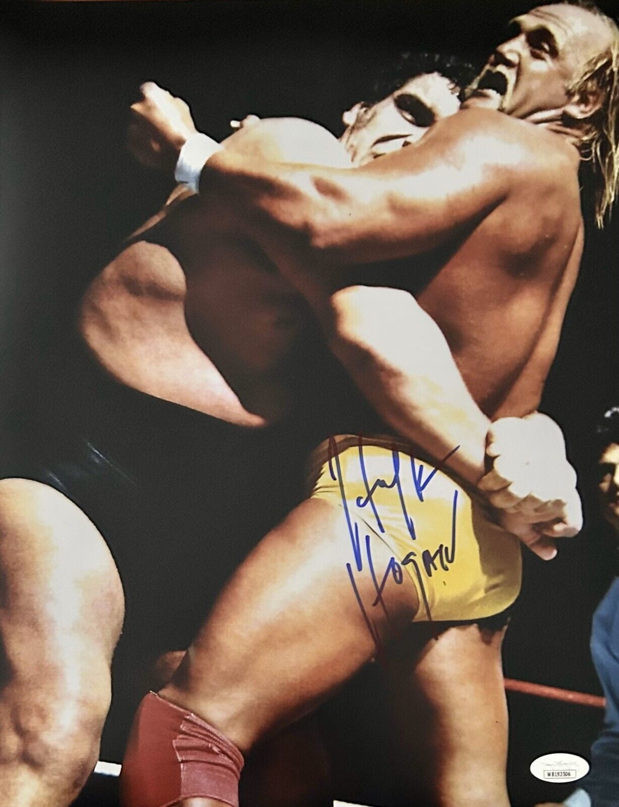 Hulk Hogan Signed Autographed Photo 11x14 JSA Authenticated #19 ...