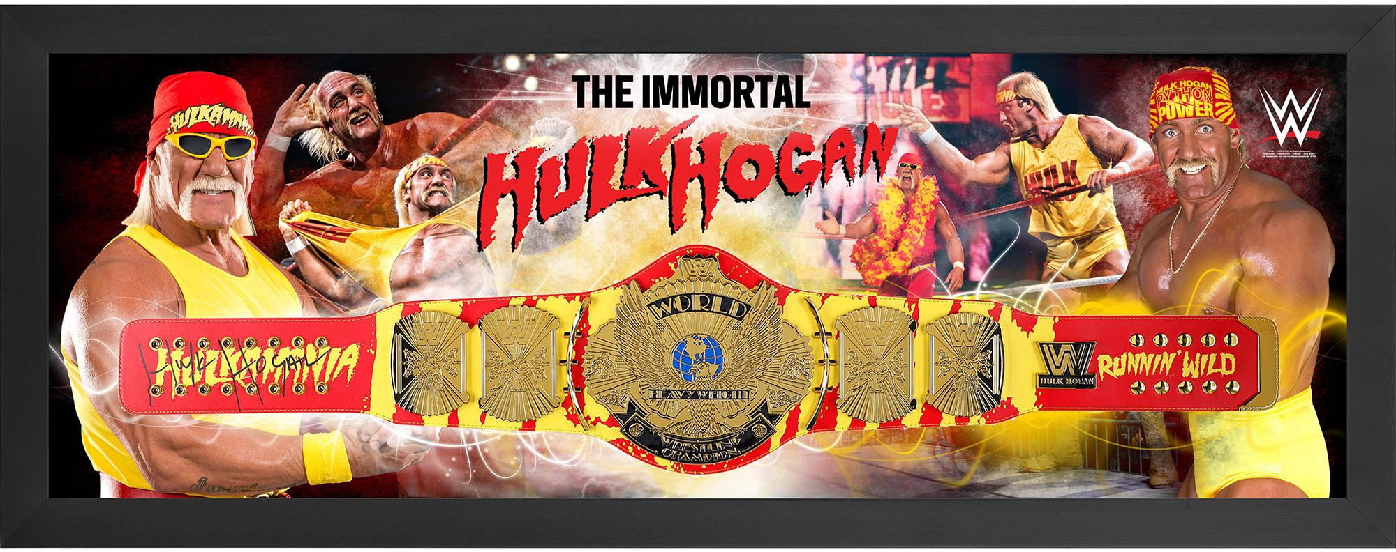 Hulk Hogan WWE Framed Autographed Signature Series Winged Eagle ...