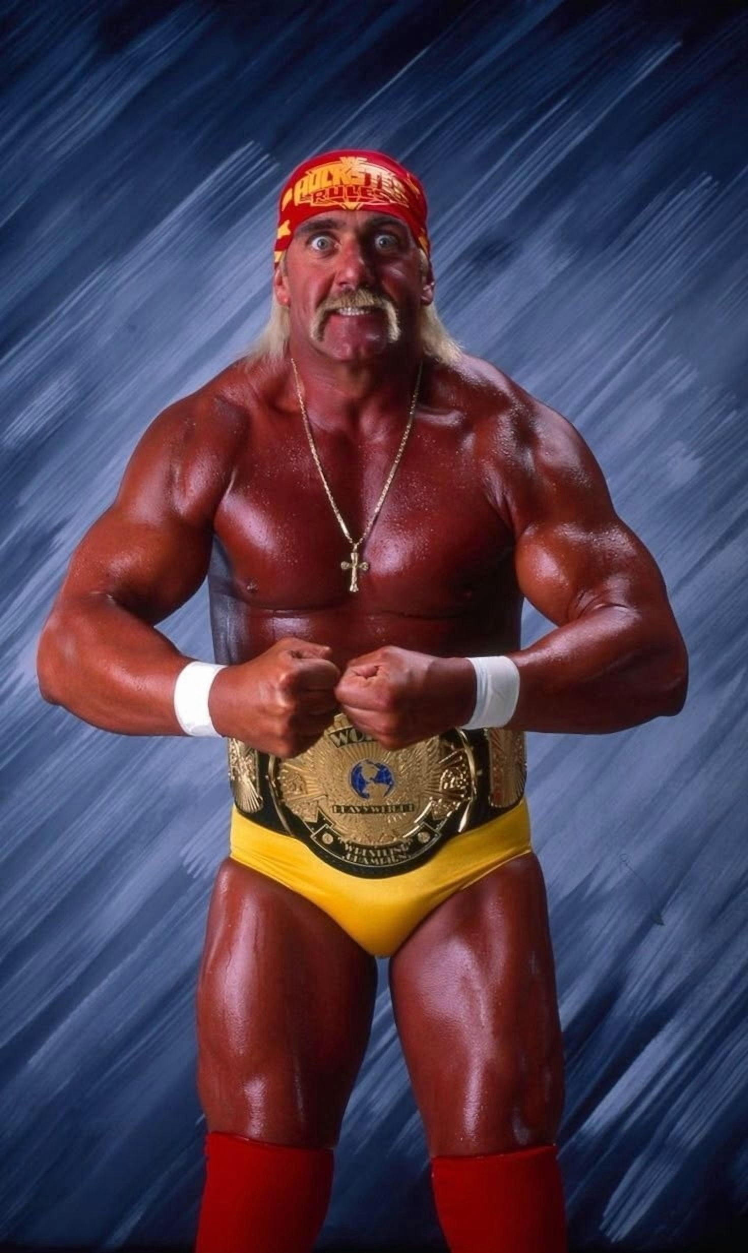 Hulk Hogan WrestleMania Portrait Poster Iconic Wrestling Star Classic ...