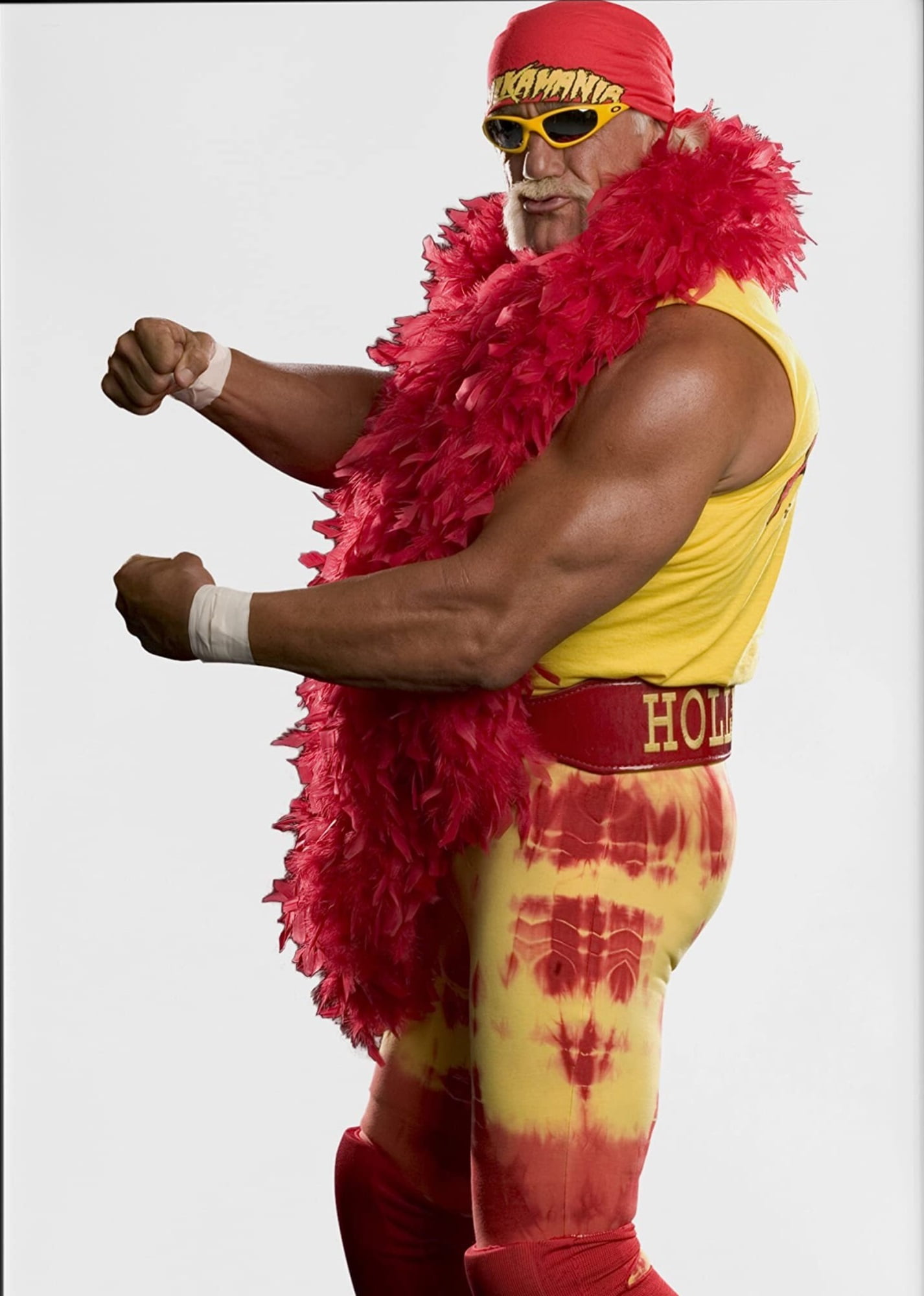 Hulk Hogan Wrestling Poster, Hogan Mr. America Professional For Gym ...