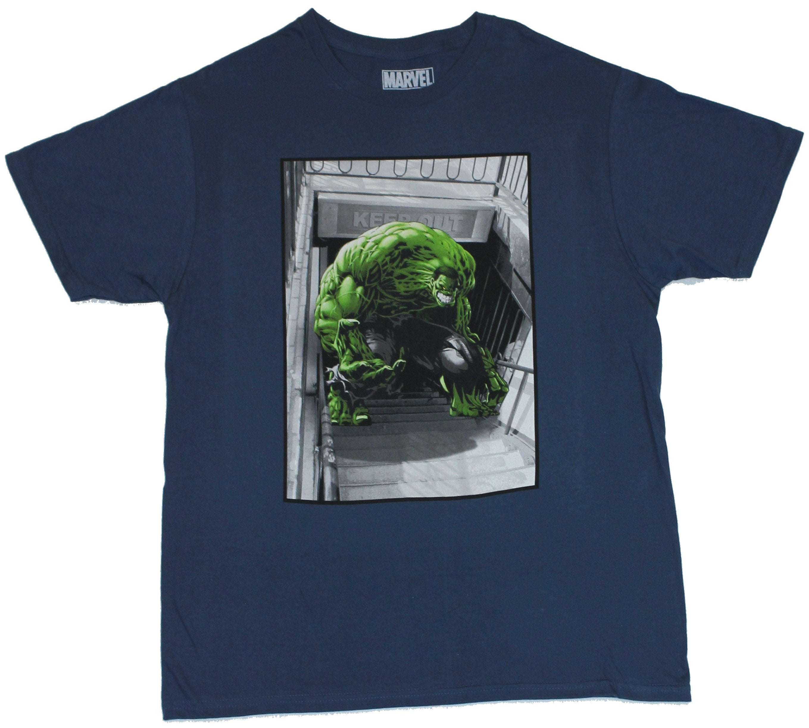 Hulk (Marvel Comics) Mens T-Shirt - Rage Filled Veiny Muscly Hulk ...