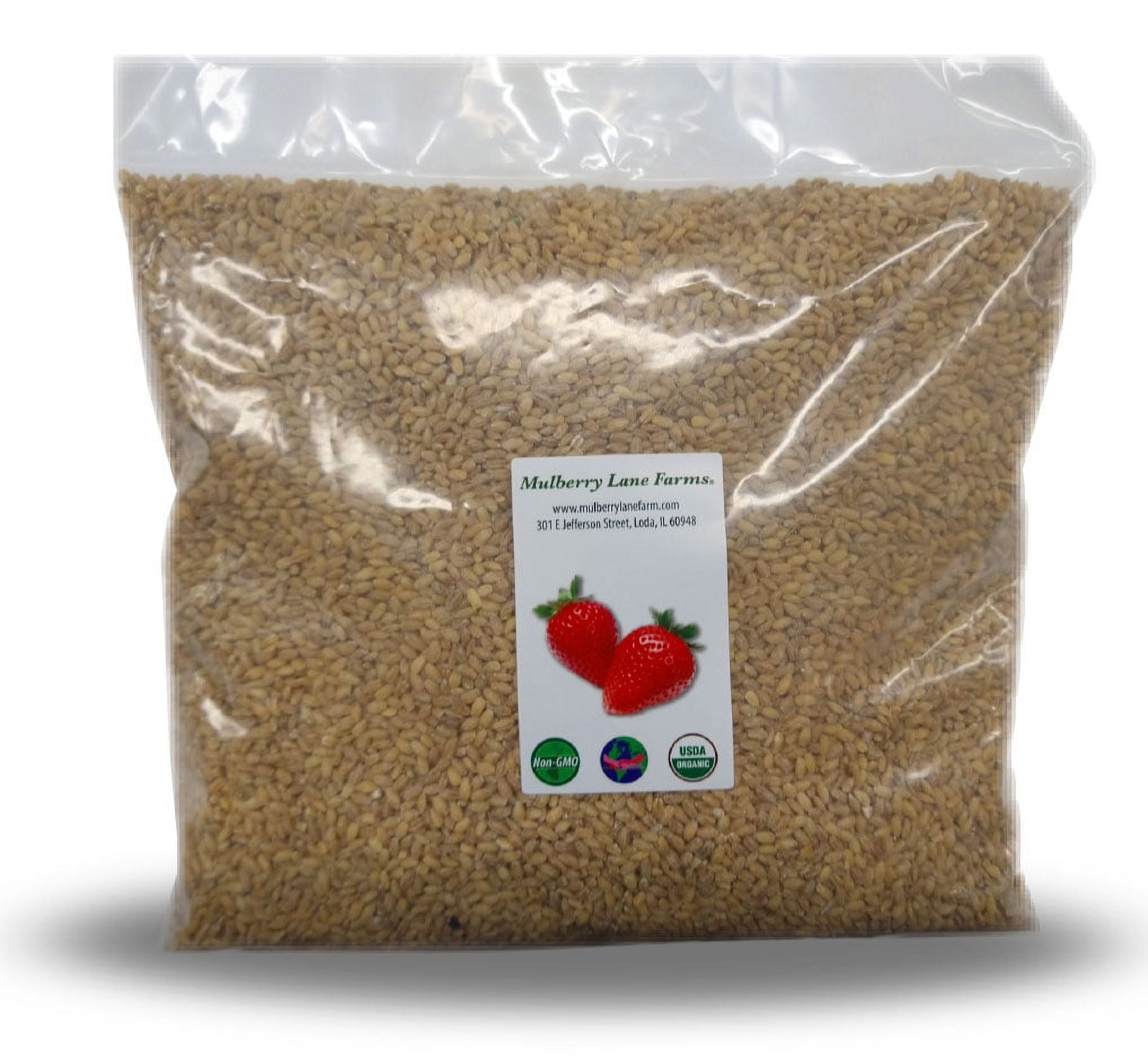 Mulberry Lane Farm Hulled Barley, 10 lbs, Bulk Packed, Fresh in Food ...