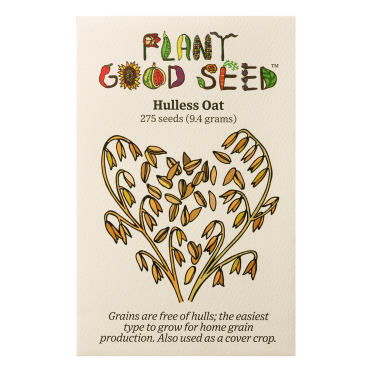 The Plant Good Seed Red Hard Spring Wheat Seeds - 200 Seeds ...