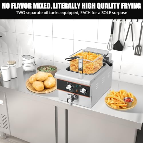 Huloretions Immersion Deep Fryer Electric Deep Fryer, 6L Stainless ...