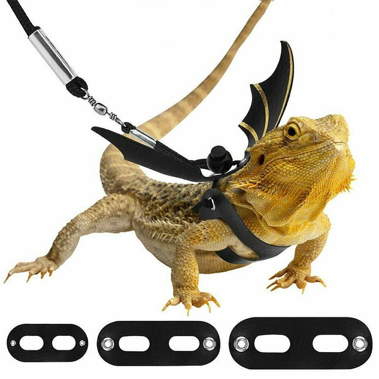 Huloretions Reptile Harness Leash Kit Adjustable, Dinosaur Wing Leather ...