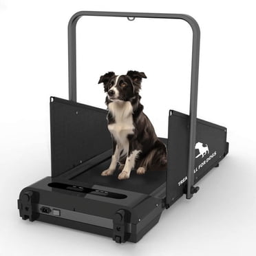 Luku 1.5HP Folding Dog Running Machine, Small Dog Treadmill, Dog Pacer ...
