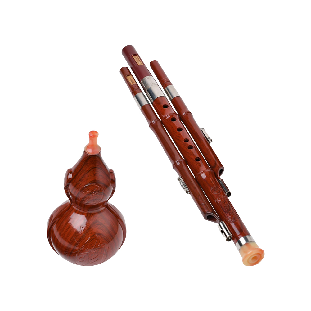 Hulusi for Beginner Cucurbit Flute Instrument Traditional Woodwind Deck ...