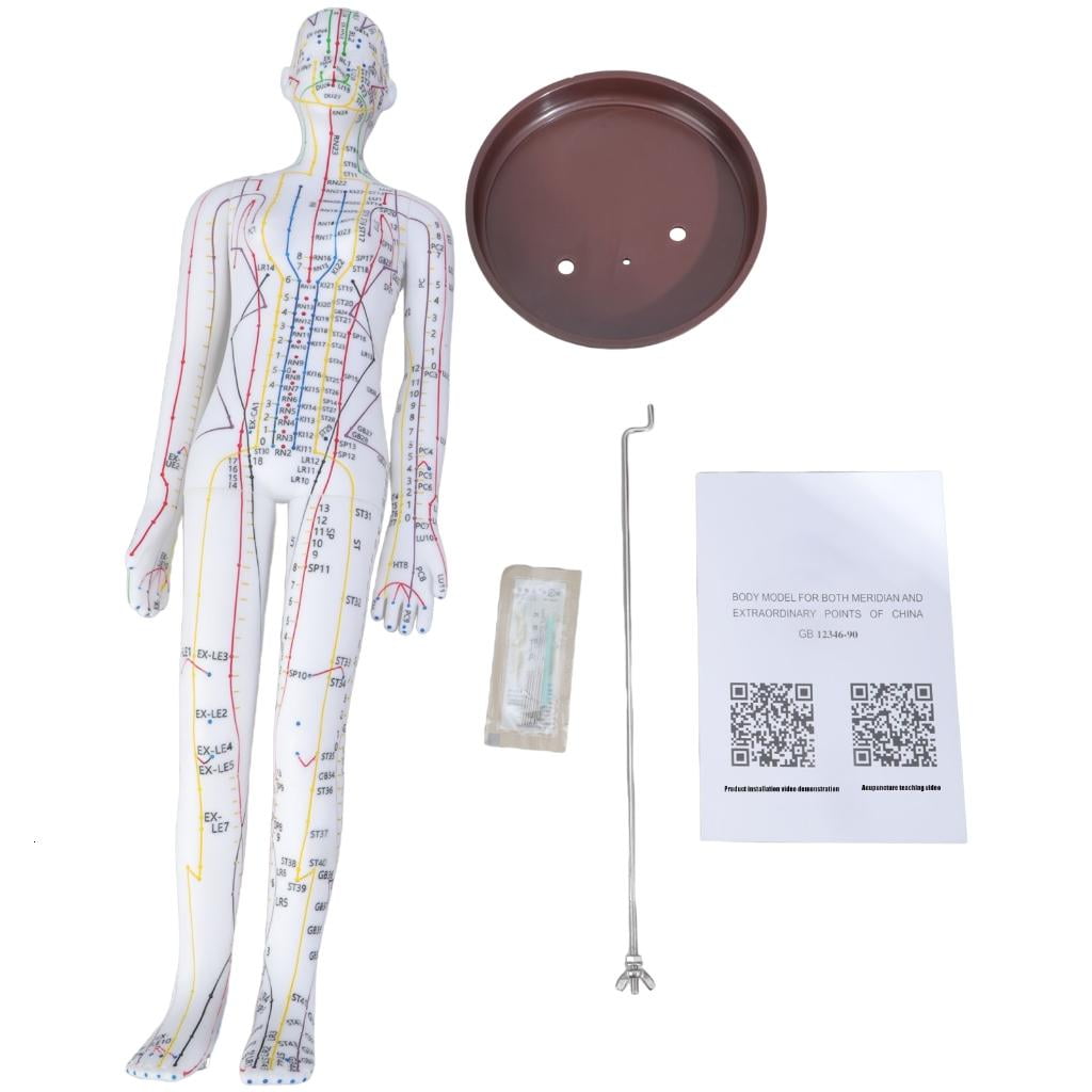 Human Acupuncture Model with Chinese Point for Acupressure & Acupunture ...