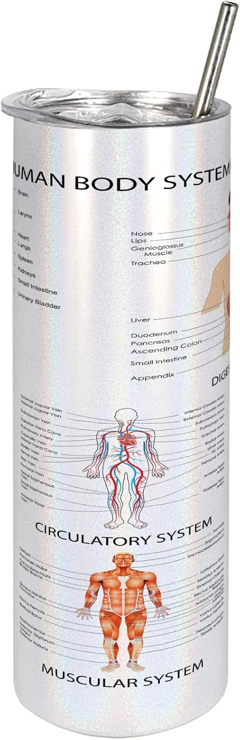 Human Anatomy 20 Oz Skinny Tumbler, Chart of Organs Body Structures ...
