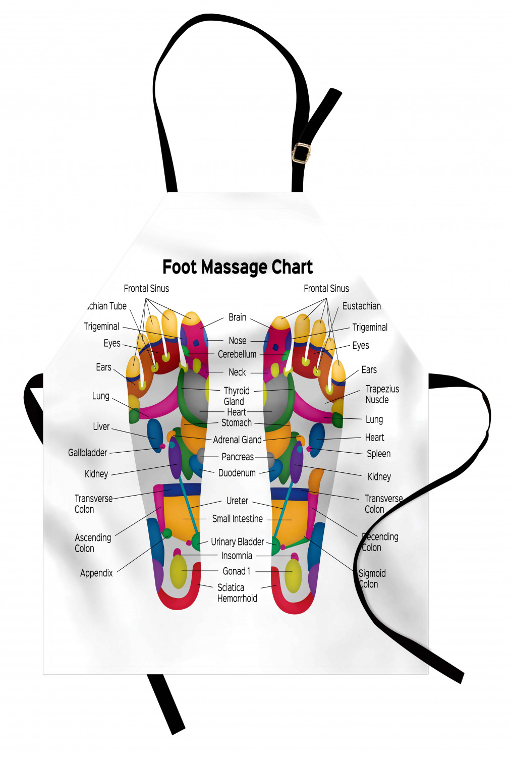 Human Anatomy Apron, Colored Chart of Foot Massage Body Parts Internal ...