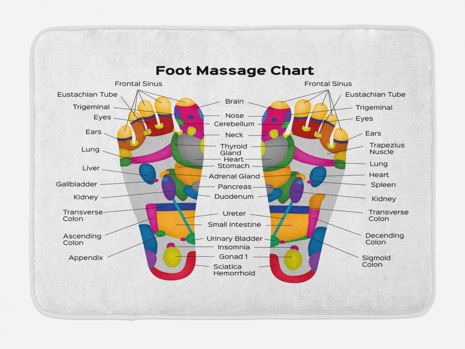 Human Anatomy Bath Mat, Colored Chart of Foot Massage Body Parts ...