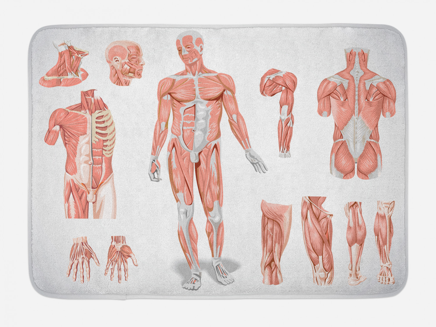 Human Anatomy Bath Mat, Inner Muscle System Skin Structure with Cells ...