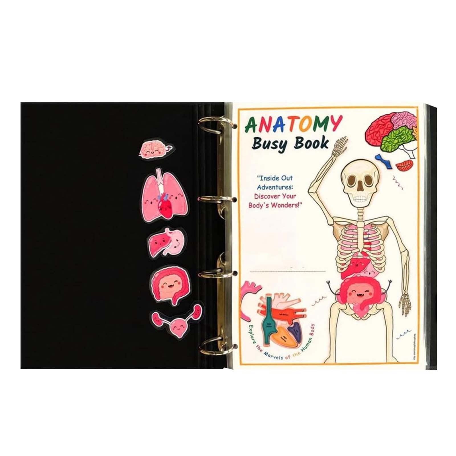 Montessori Human Anatomy Busy Book For Kids - Interactive Educational ...