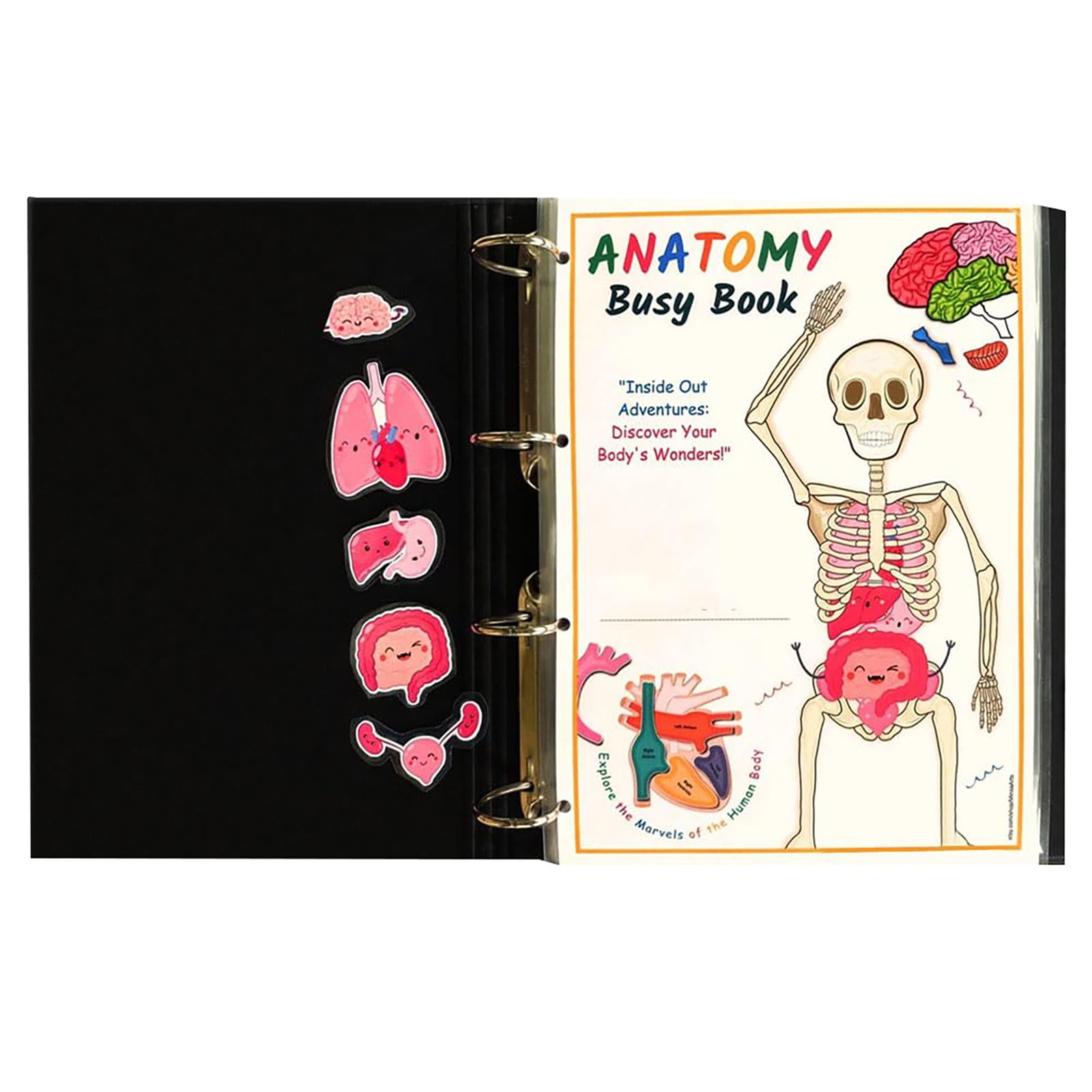 Human Anatomy Busy Book Human Body Anatomy Busy Book For Kids ...