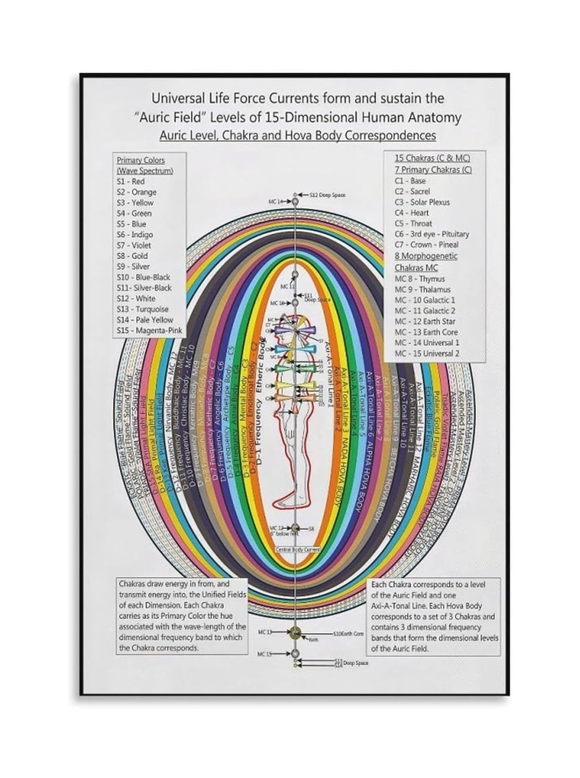 Human Anatomy & Chakra System Poster, Aura Field Educational Chart ...