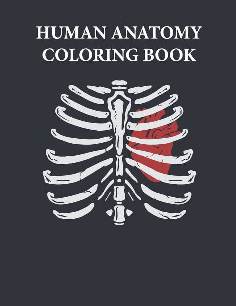 Human Anatomy Coloring Book: Color human anatomy and learn about this ...