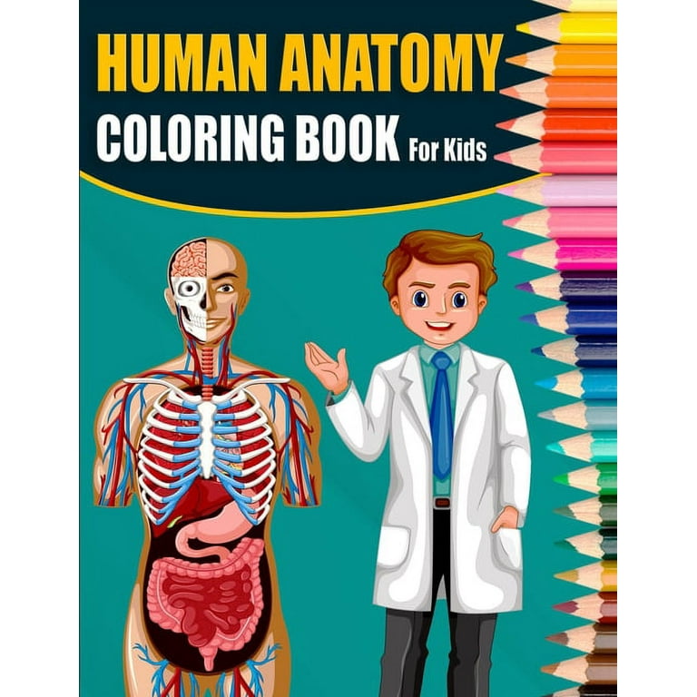 Anatomy Coloring Pages Human Organs Coloring Page Anatomy, 53% OFF