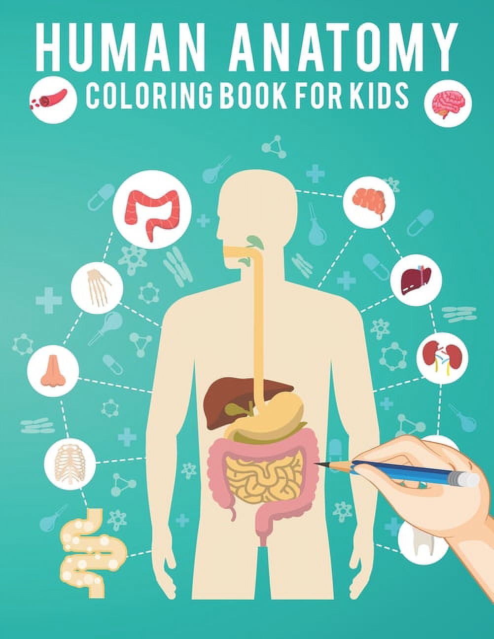Human Anatomy Coloring Book For Kids: Human Body Coloring Pages Fun and ...
