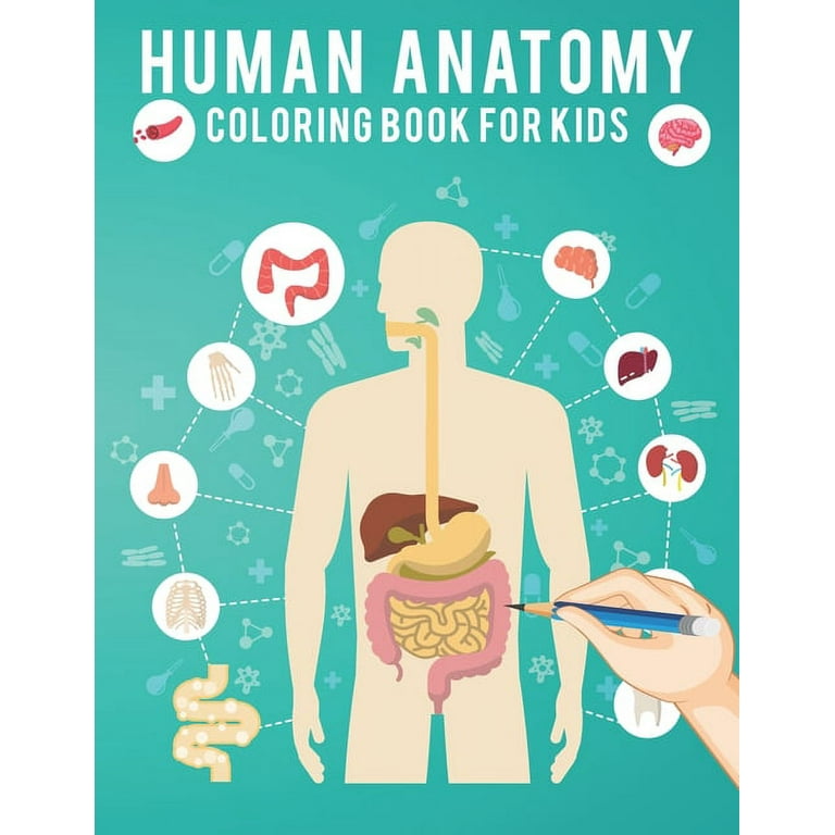 anatomy coloring book pages