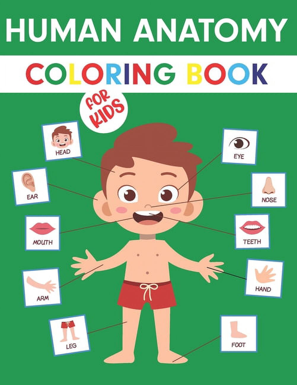 Human Anatomy Coloring Book For Kids: My First Anatomy Book: Body Parts ...