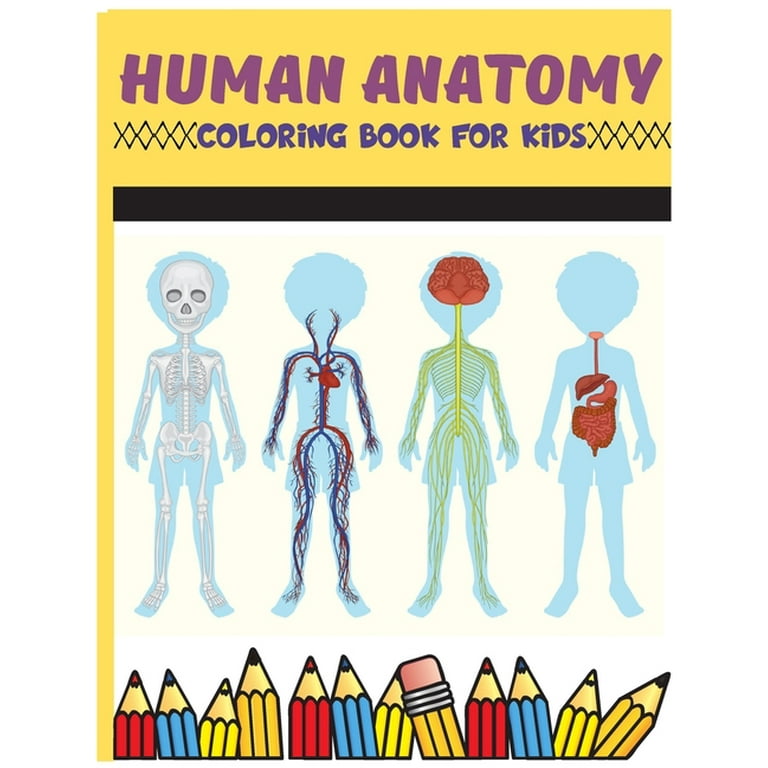human anatomy coloring pages for kids