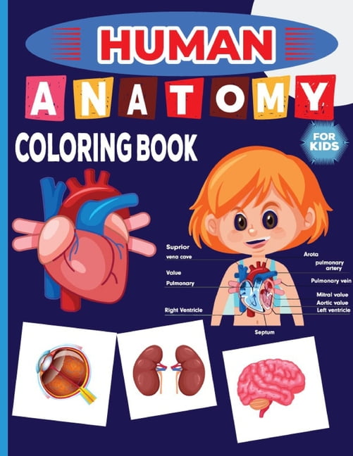 Human Anatomy Coloring Book For Kids: human anatomy for drawing ...