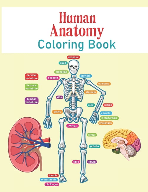 Human Anatomy Coloring Book: The Human Body For Kids and Adult Gift For ...