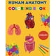 Human Anatomy Coloring Book for Kids : Human Body Coloring Sheets ...