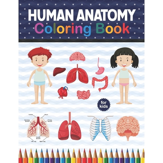 Human Anatomy Coloring Book For Kids: Human Body Anatomy Coloring Book ...