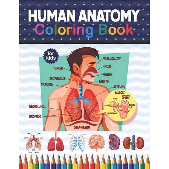 Human Anatomy Coloring Book For Kids: Human Body Anatomy Coloring Book ...