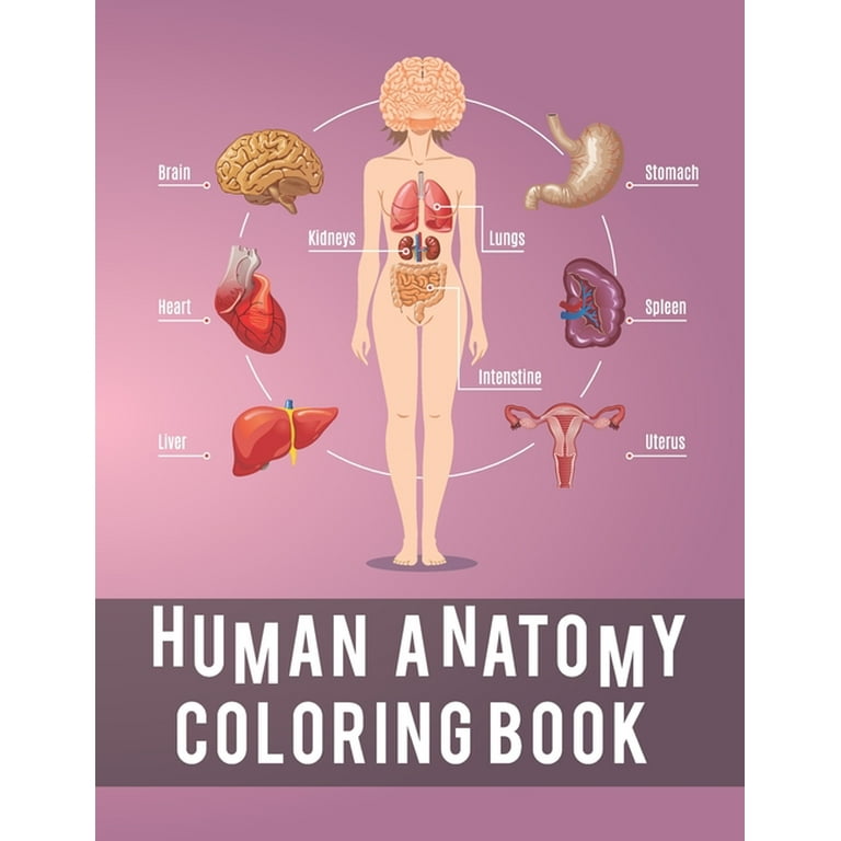 adult coloring book human anatomy