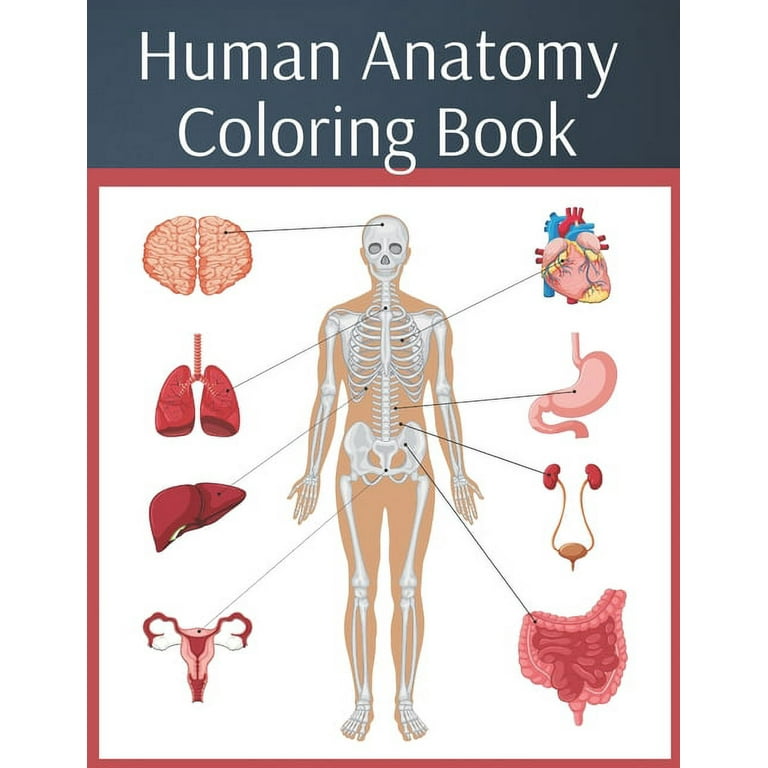 free human anatomy coloring book