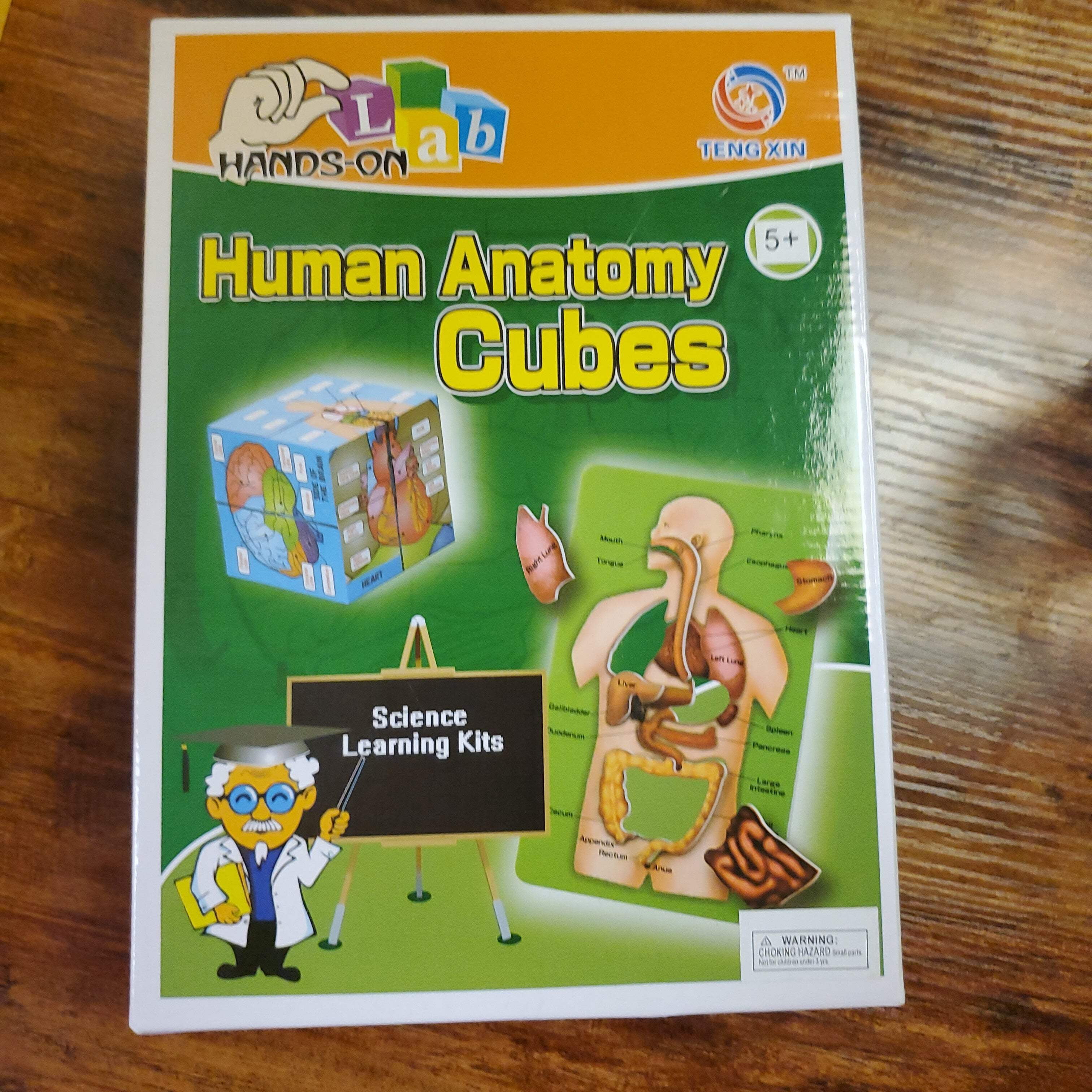 Human Anatomy Cube (ONE) - Walmart.com