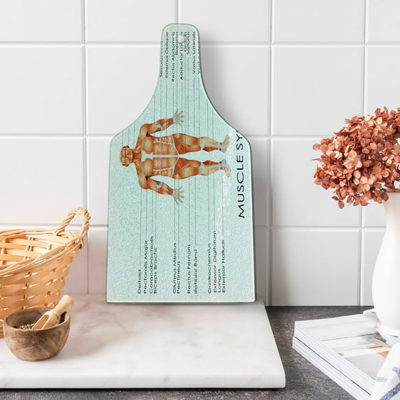 Human Anatomy Cutting Board, Muscle System Diagram of Man Body Features ...